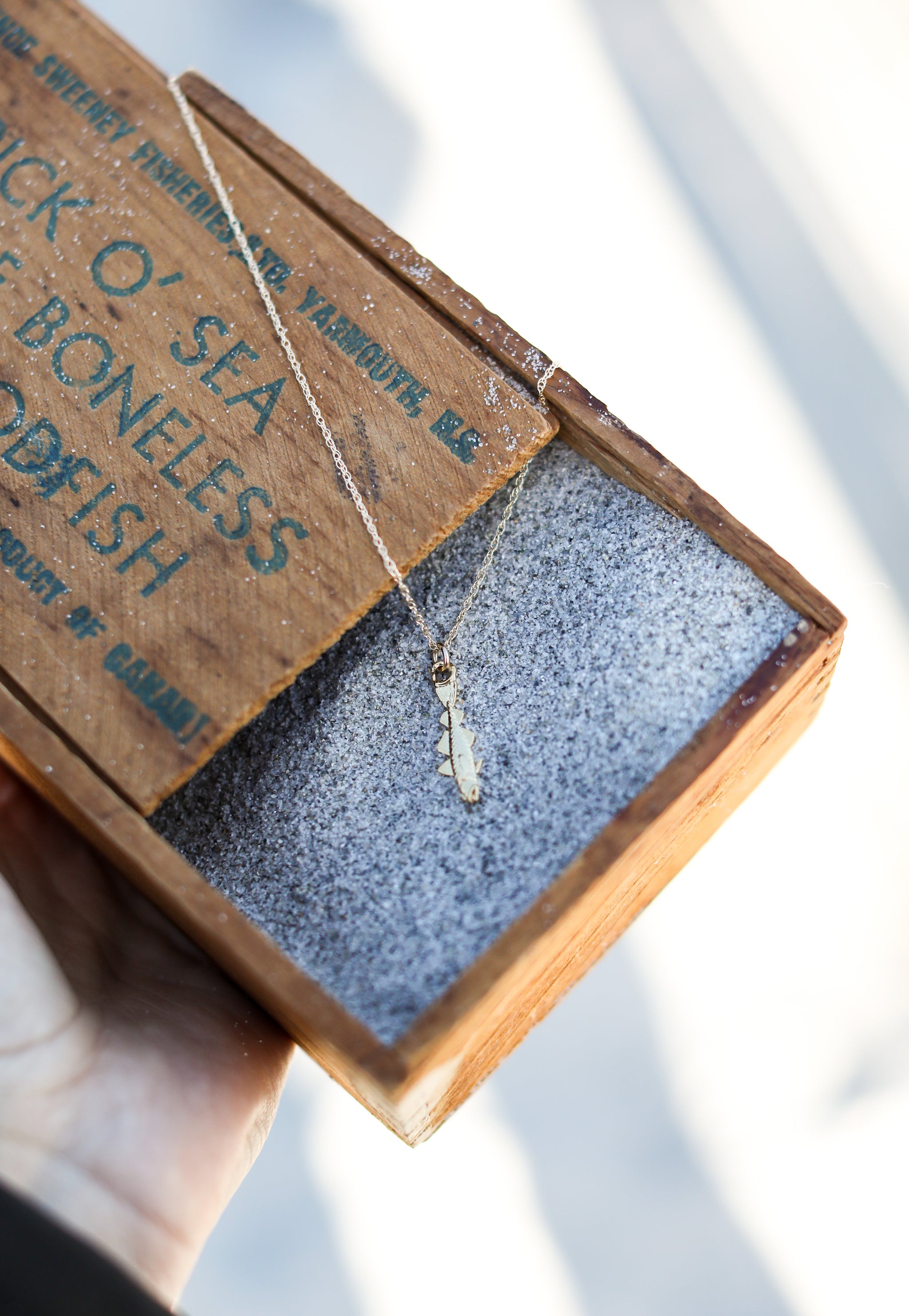 JEWELRY – The Golden Cod